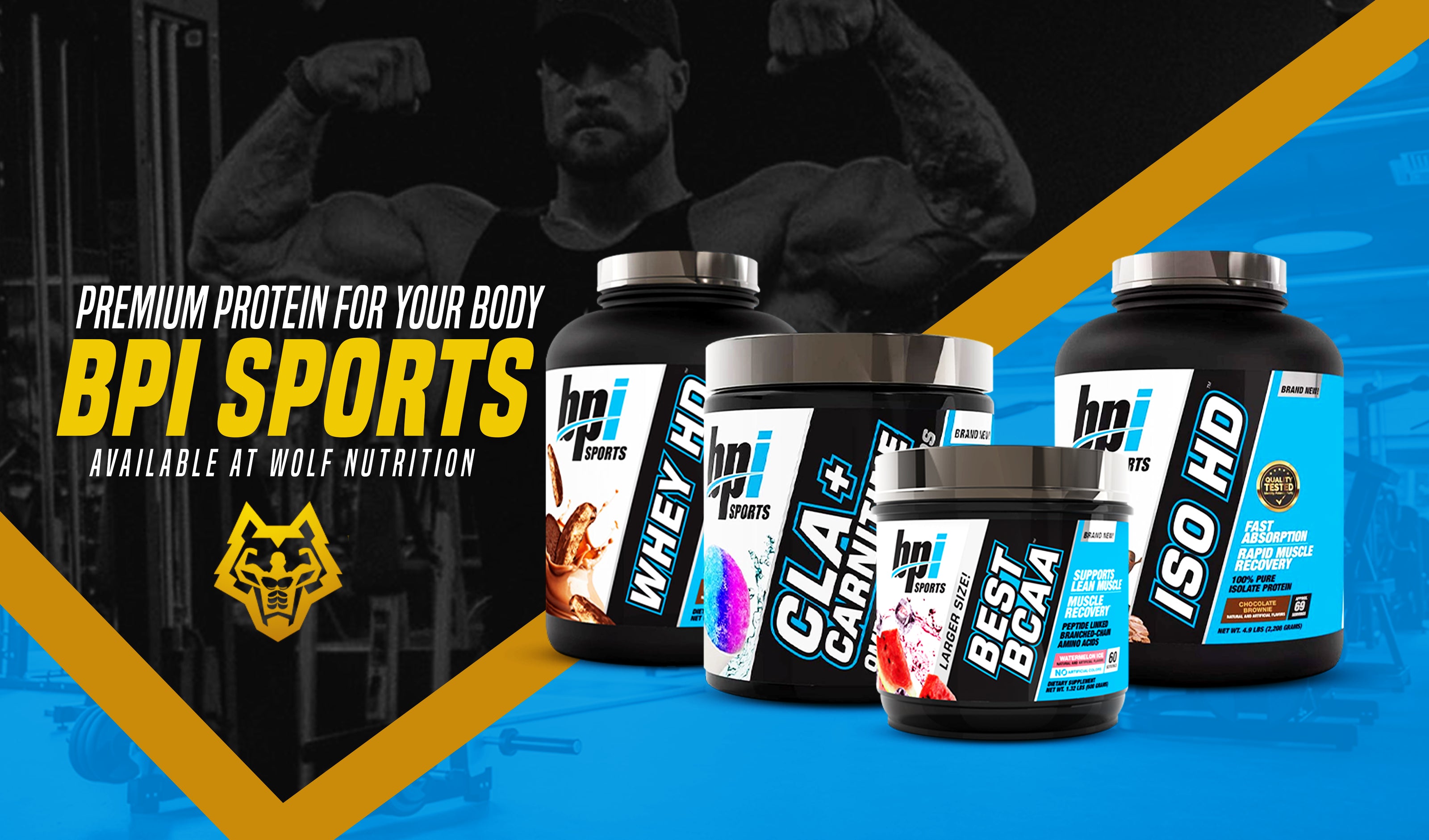 Wolf Nutrition » Suplements & Multivitamins Protein in Pakistan.