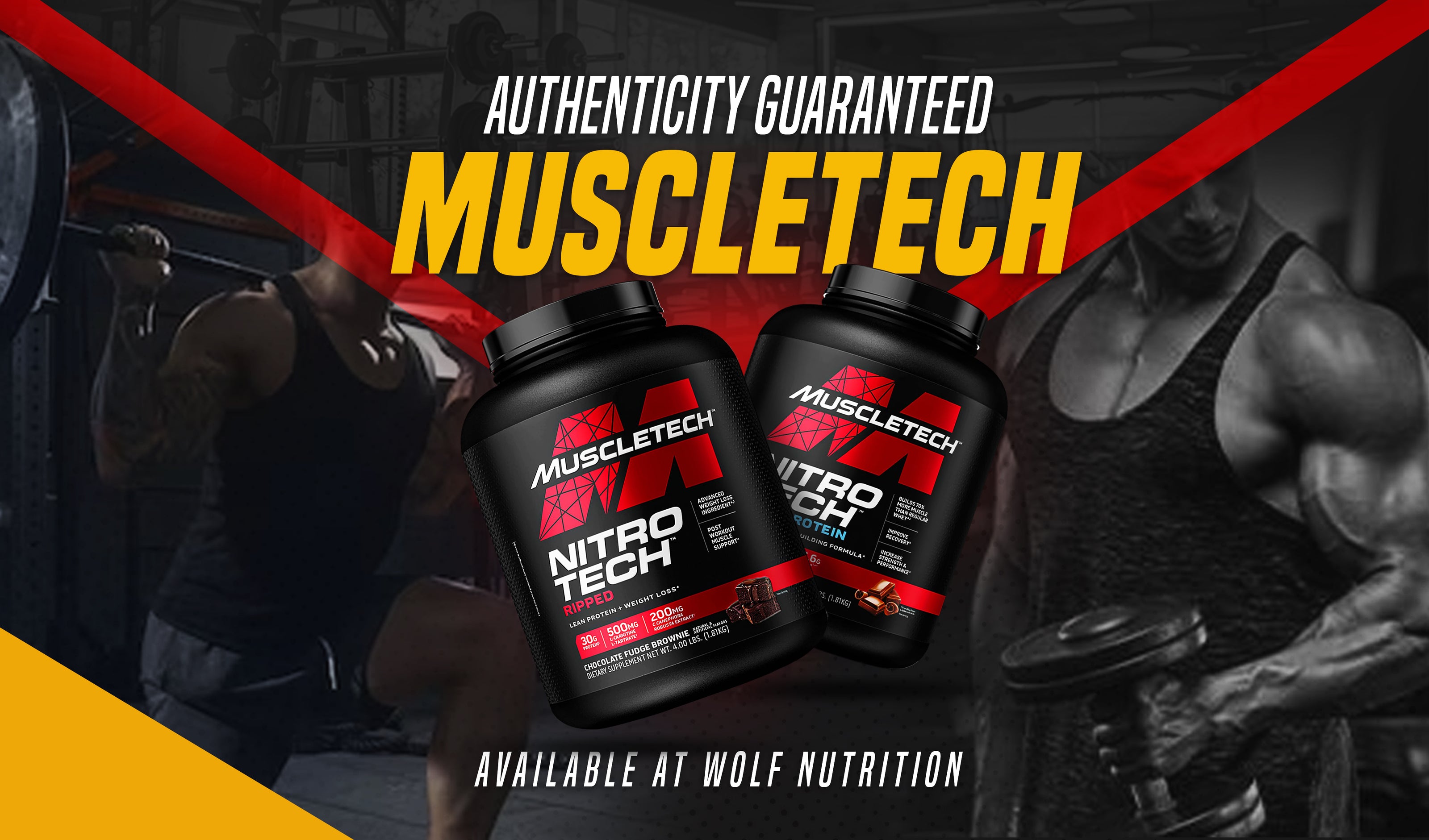 Wolf Nutrition » Suplements & Multivitamins Protein in Pakistan.