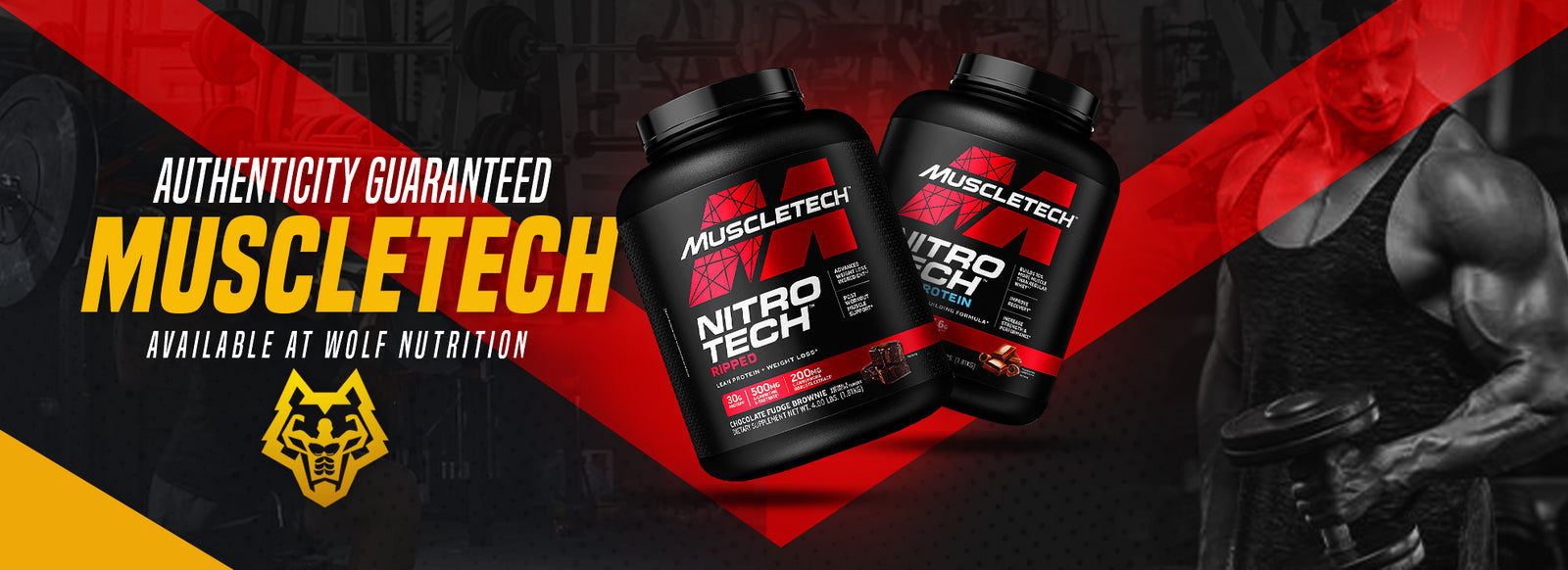 Wolf Nutrition » Suplements & Multivitamins Protein in Pakistan.